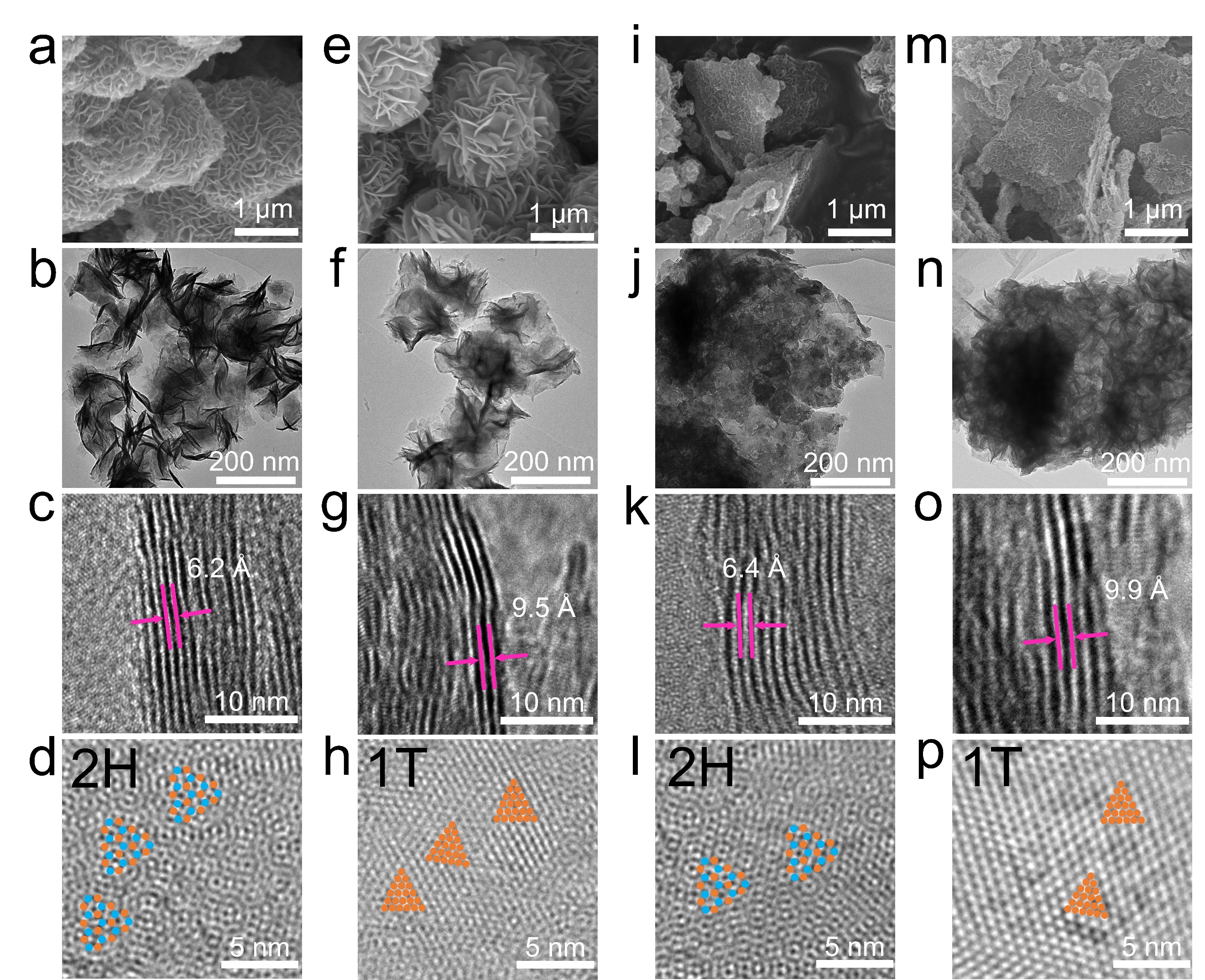 重点实验室高义华讲座教授在高性能水系锌离子电池正极材料领域获得重要研究进展-广西光电材料与器件重点实验室